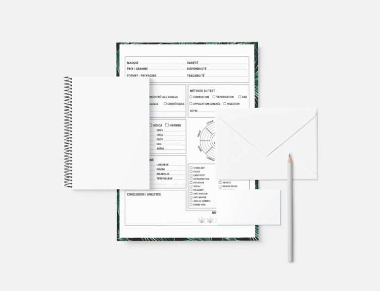 Step-by-Step Guide to Canva Book Design: From Concept to Print-Ready ...